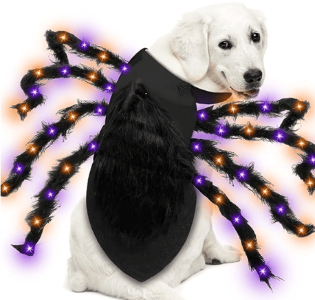 DIY Mojo Jojo Dog Costume: Halloween Fun for Your Pup Without the Fuss