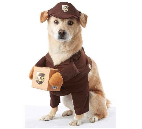 DIY Mojo Jojo Dog Costume: Halloween Fun for Your Pup Without the Fuss